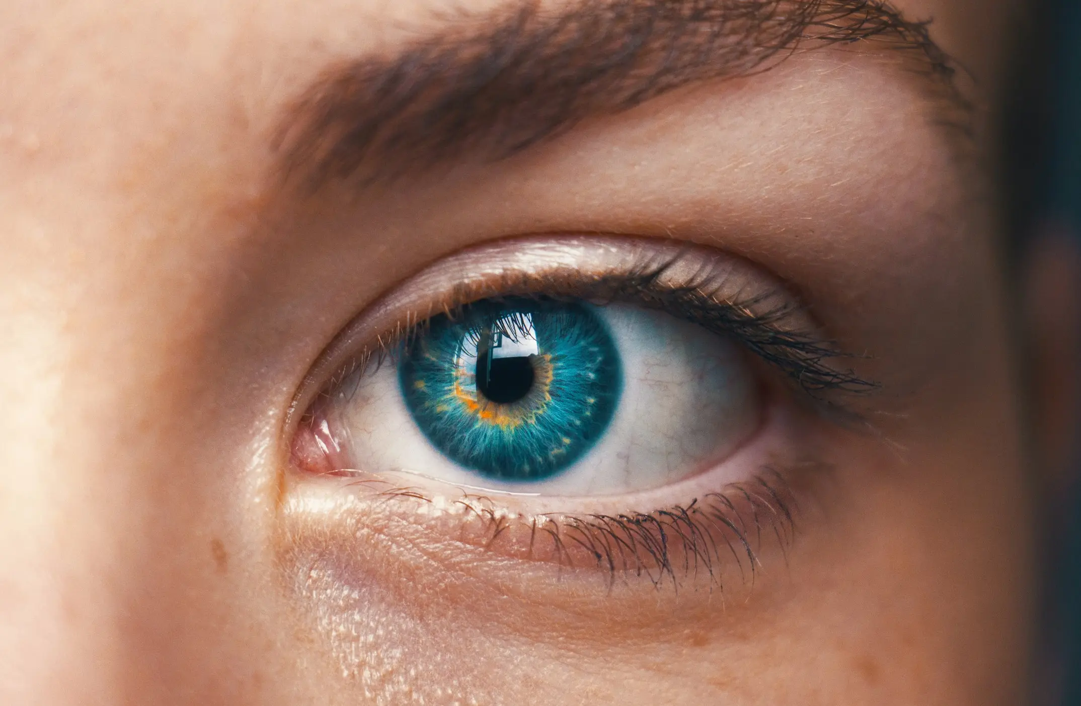 VisionApp Refraction